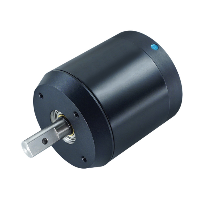 2700W 190KV 4-12S Outrunner Sensored Brushless DC Motor | Brushless.com
